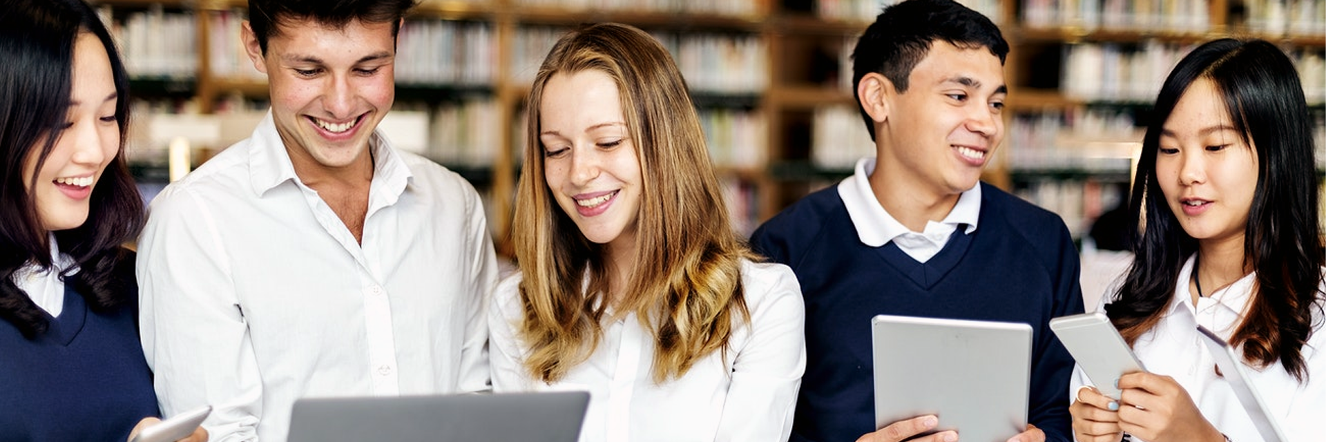 Combining Multiple Intelligences and Online Learning – Making the Best ...